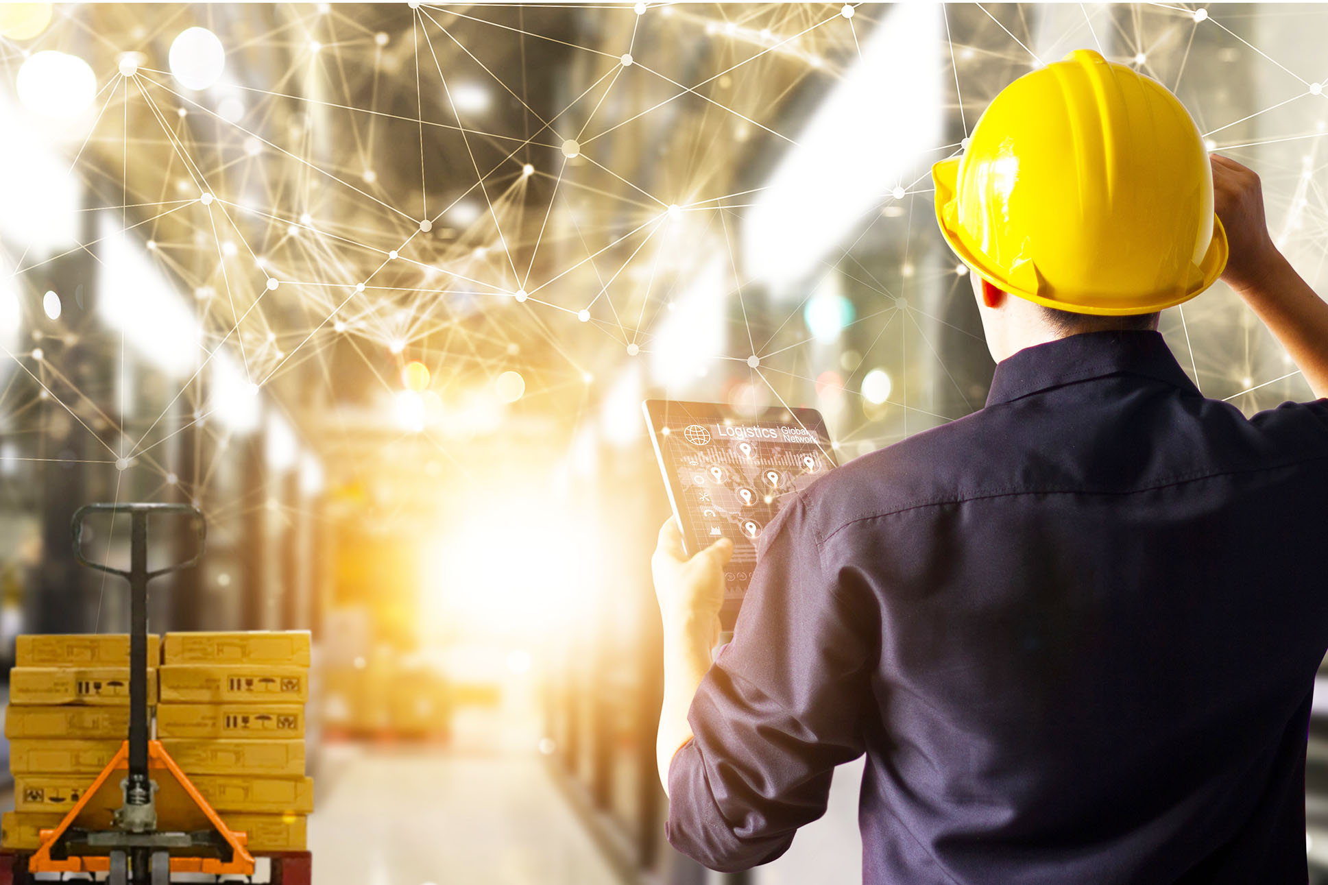 Cargoes Rostering System | Rostering Software | DP World