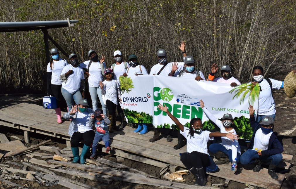 DP World Paramaribo supports mangrove project for the second year in a row